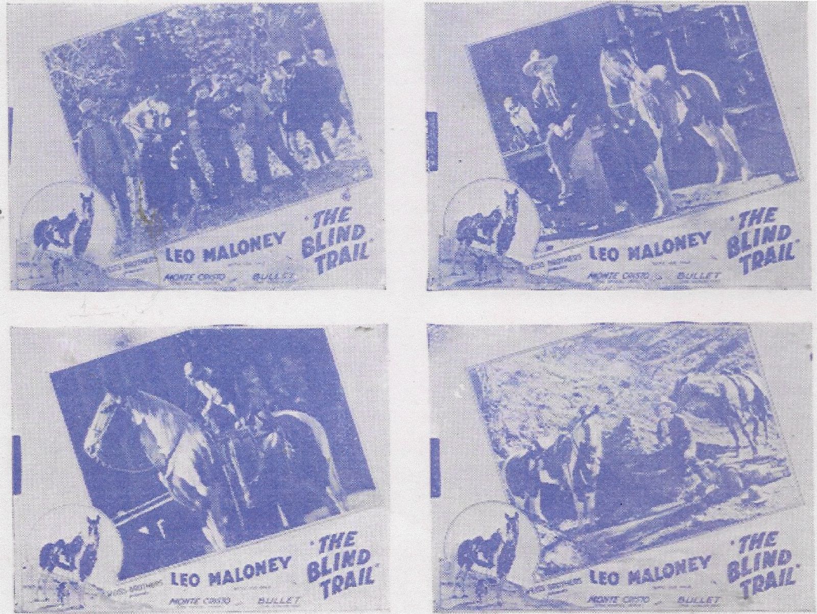 The Blind Trail TV Listings and Schedule | TV Guide