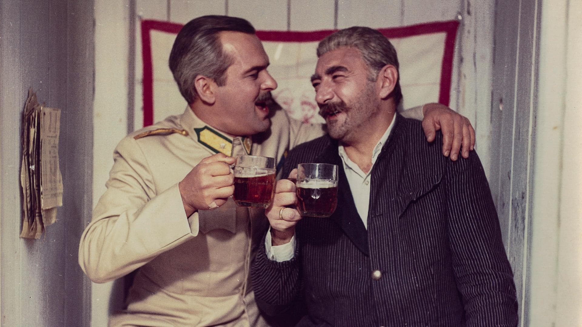 The Toth Family - Where to Watch and Stream - TV Guide