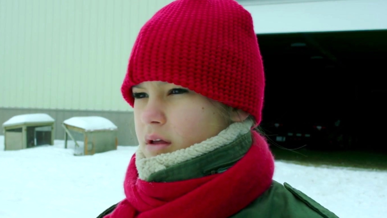 Albion: The Enchanted Stallion - Full Cast & Crew - TV Guide