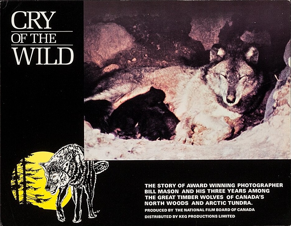 Cry of the Wild - Where to Watch and Stream - TV Guide