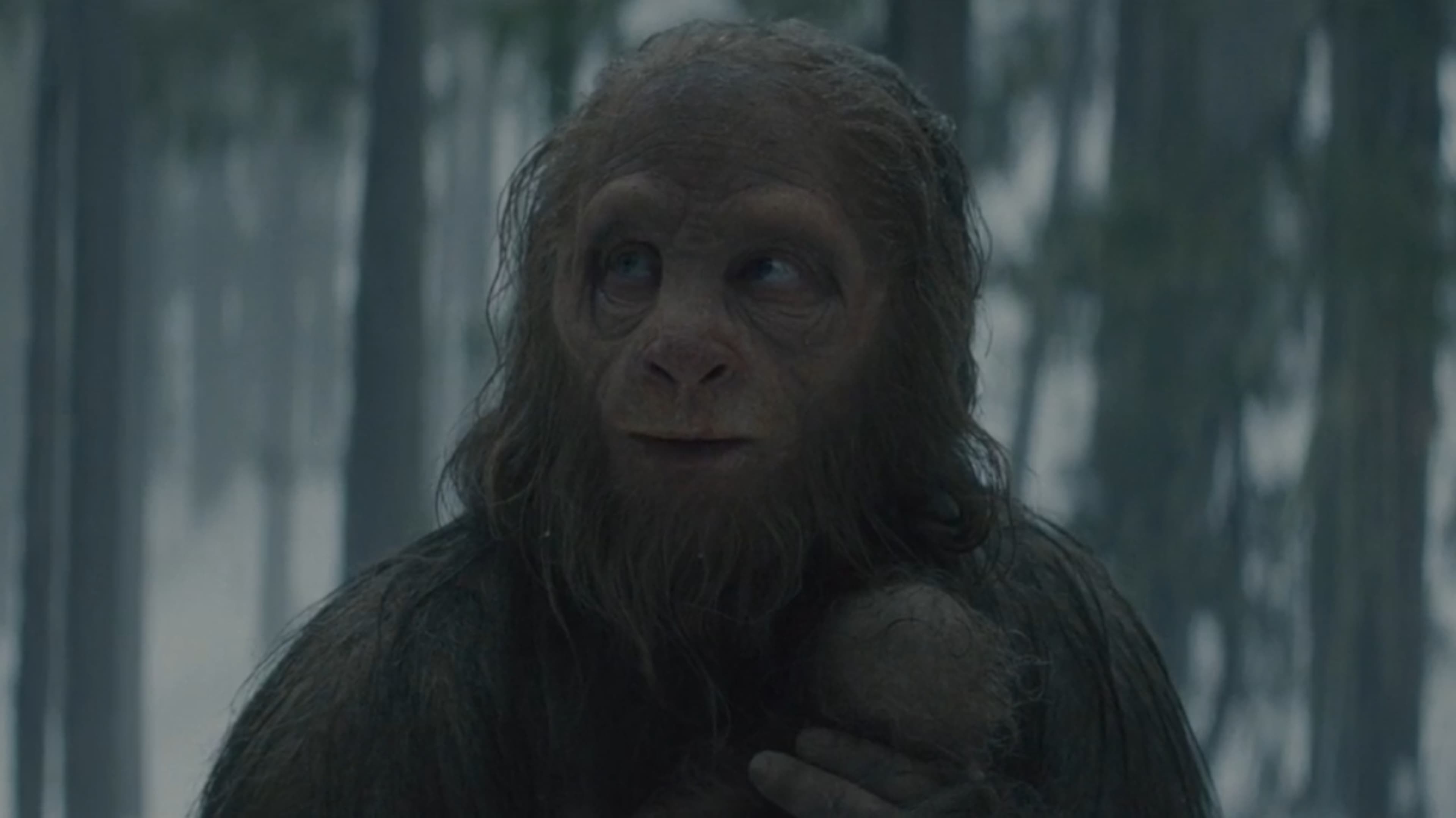 Sasquatch Sunset - Where to Watch and Stream - TV Guide