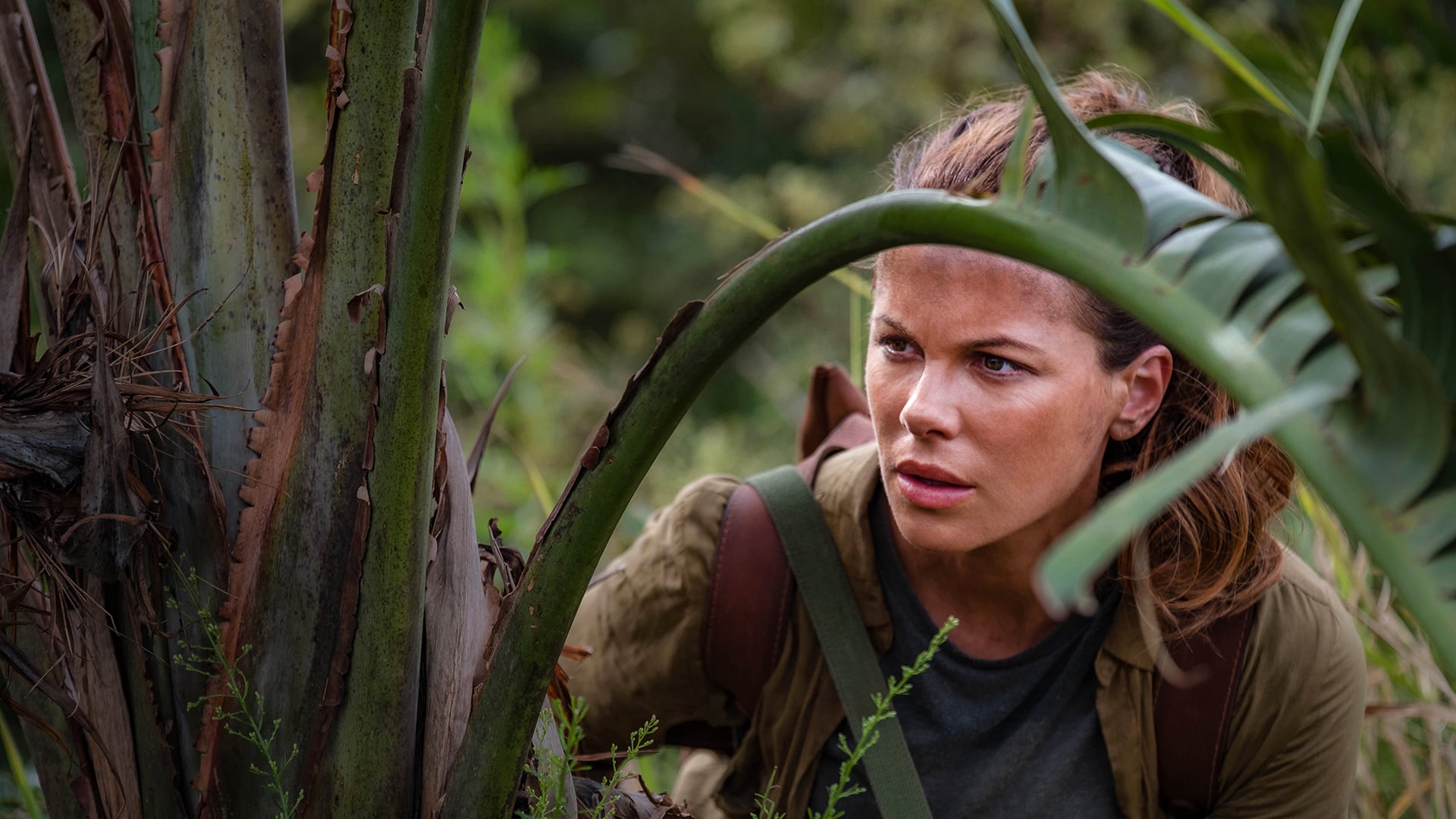 The Widow - Full Cast & Crew - TV Guide