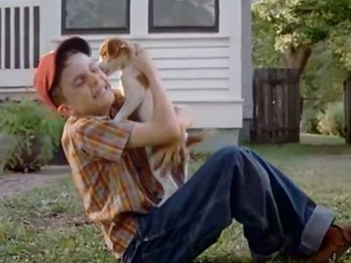 My Dog Skip - Where to Watch and Stream - TV Guide
