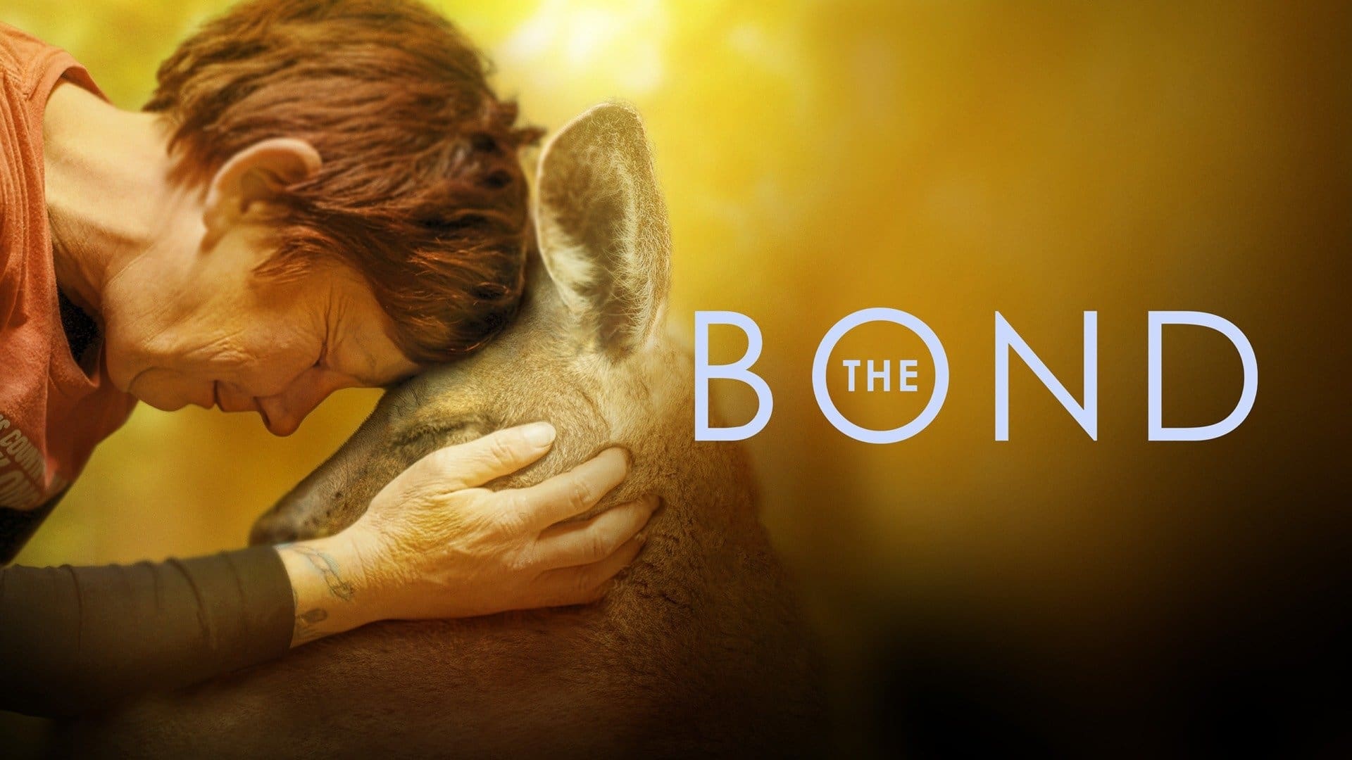 The Bond - Where to Watch and Stream - TV Guide
