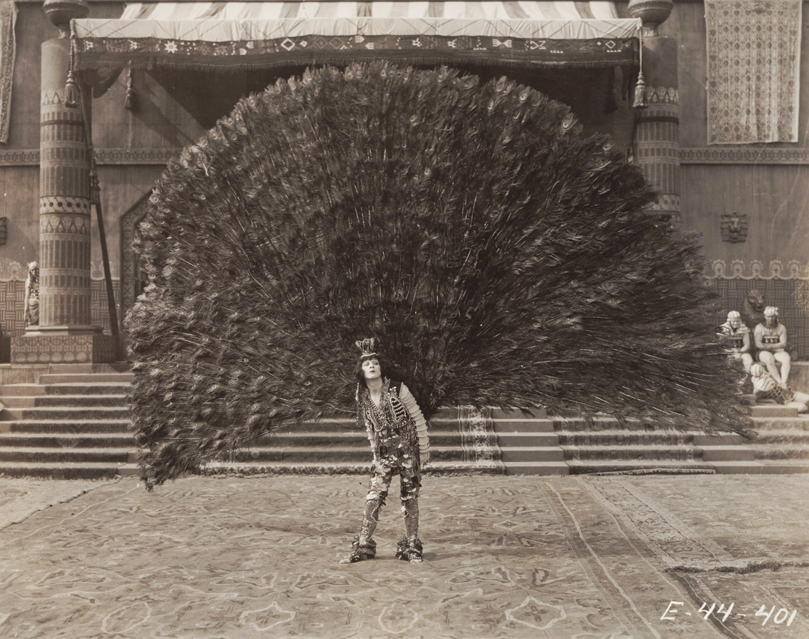 The Queen of Sheba - Where to Watch and Stream - TV Guide