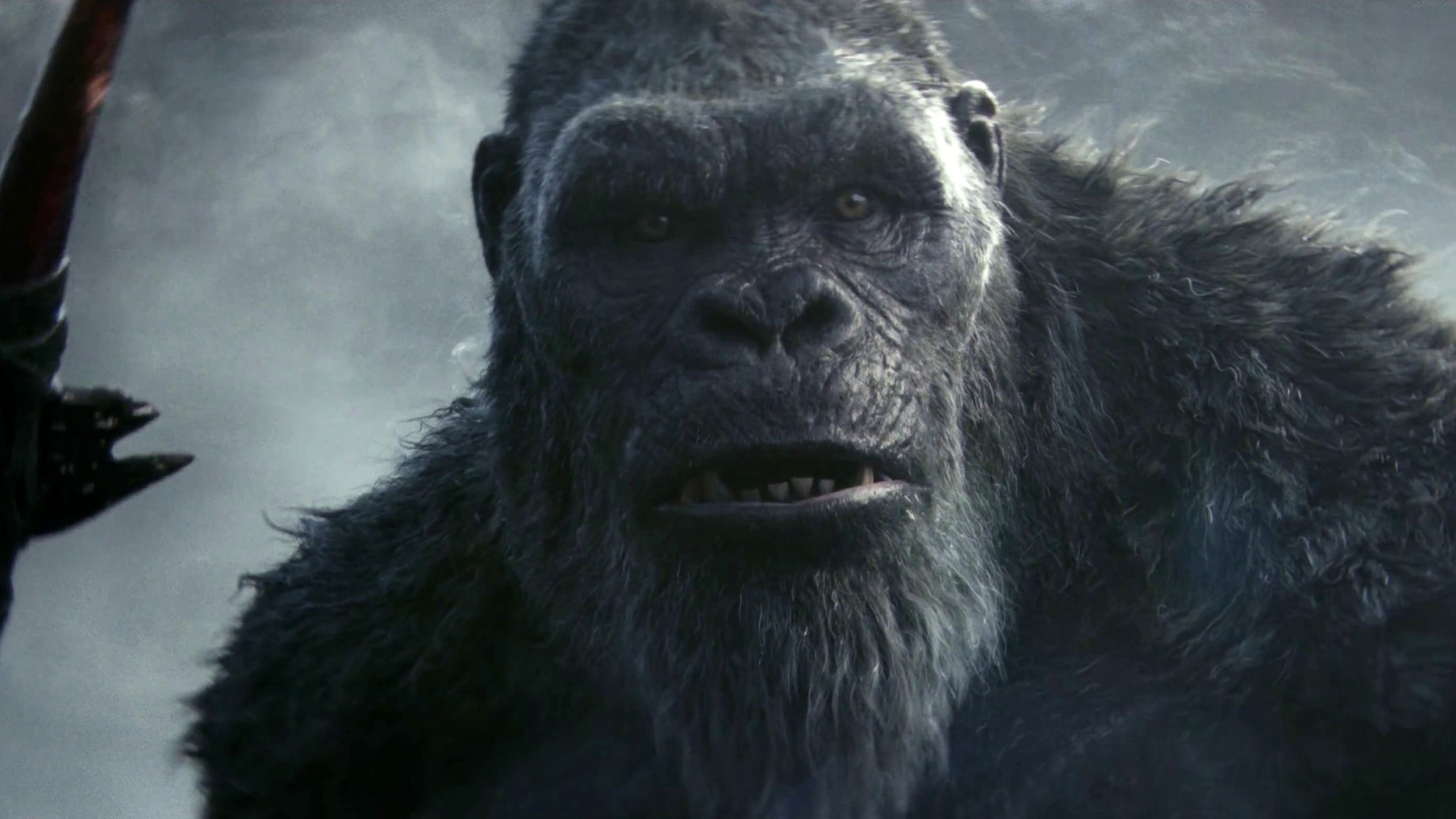 Godzilla x Kong: The New Empire - Full Cast & Crew - TV Guide