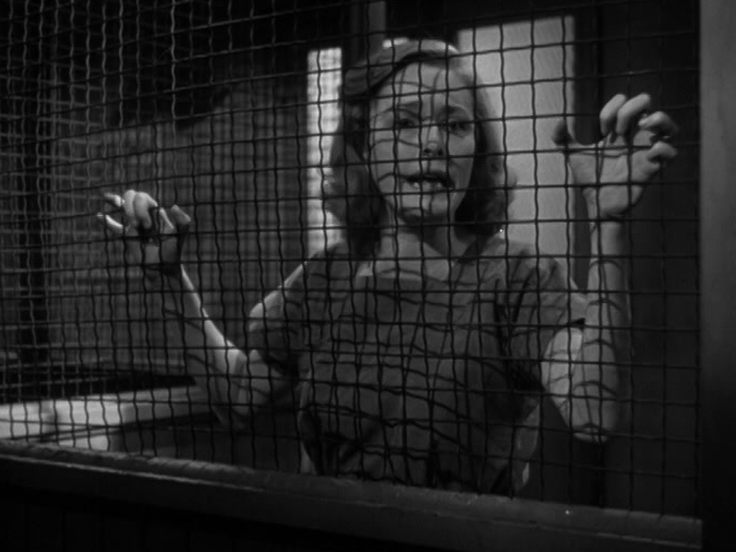 Caged - Full Cast & Crew - TV Guide