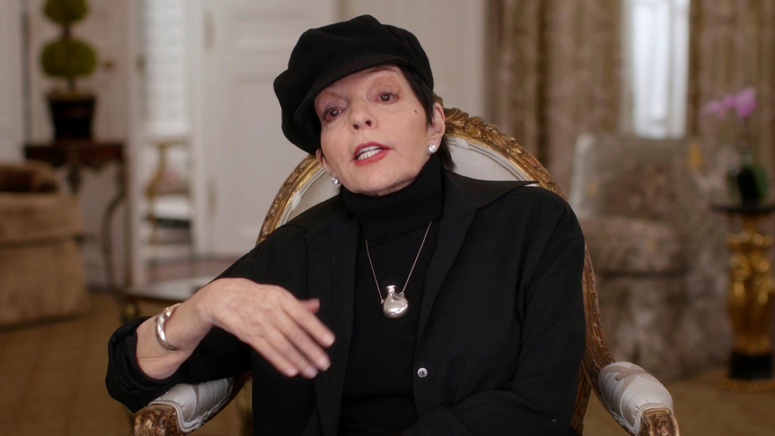 Liza: A Truly Terrific Absolutely True Story - Where to Watch and ...