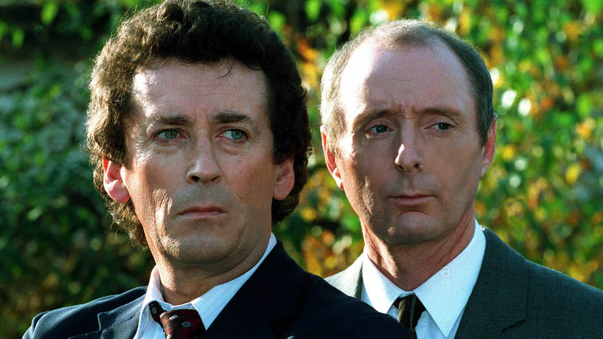 The Detectives Where To Watch And Stream Tv Guide