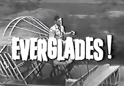 Everglades! - Full Cast & Crew - TV Guide