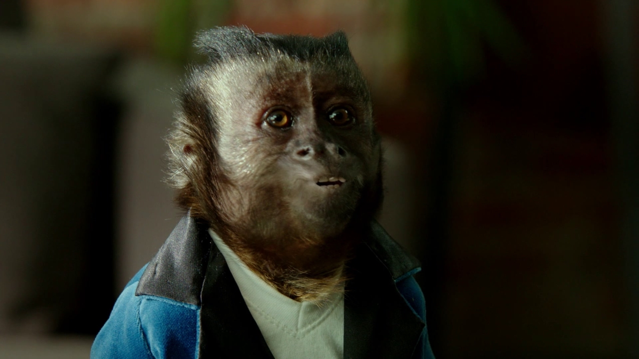Monkey Up - Where to Watch and Stream - TV Guide