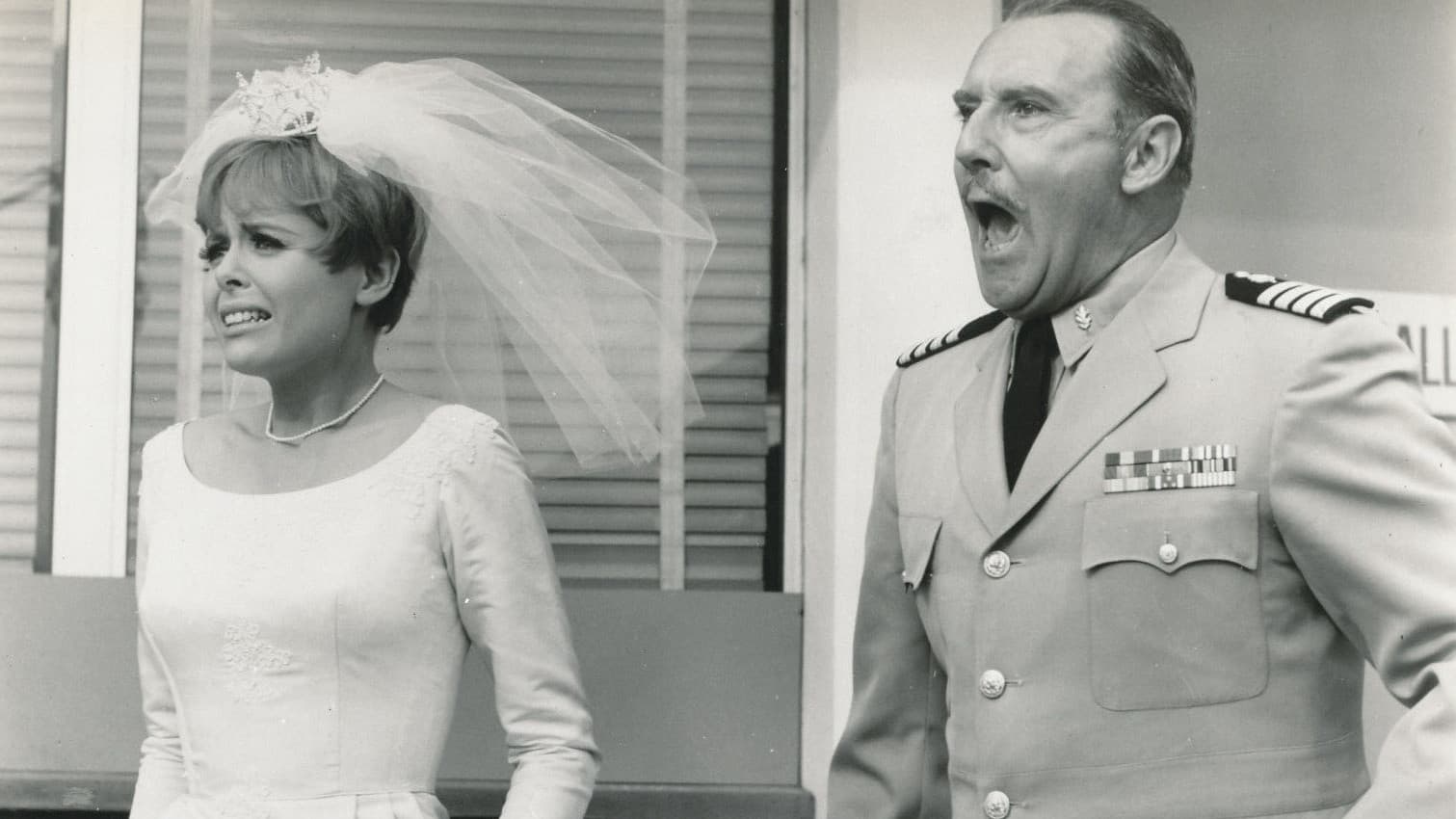 Sergeant Dead Head - Where to Watch and Stream - TV Guide