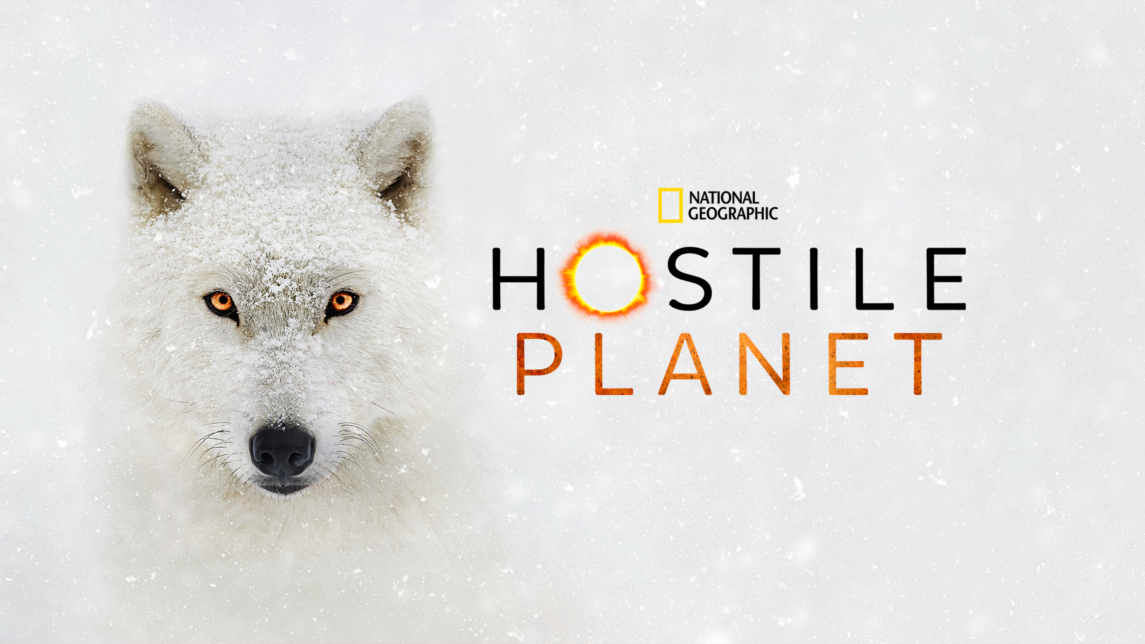 Hostile Planet - Where to Watch and Stream - TV Guide