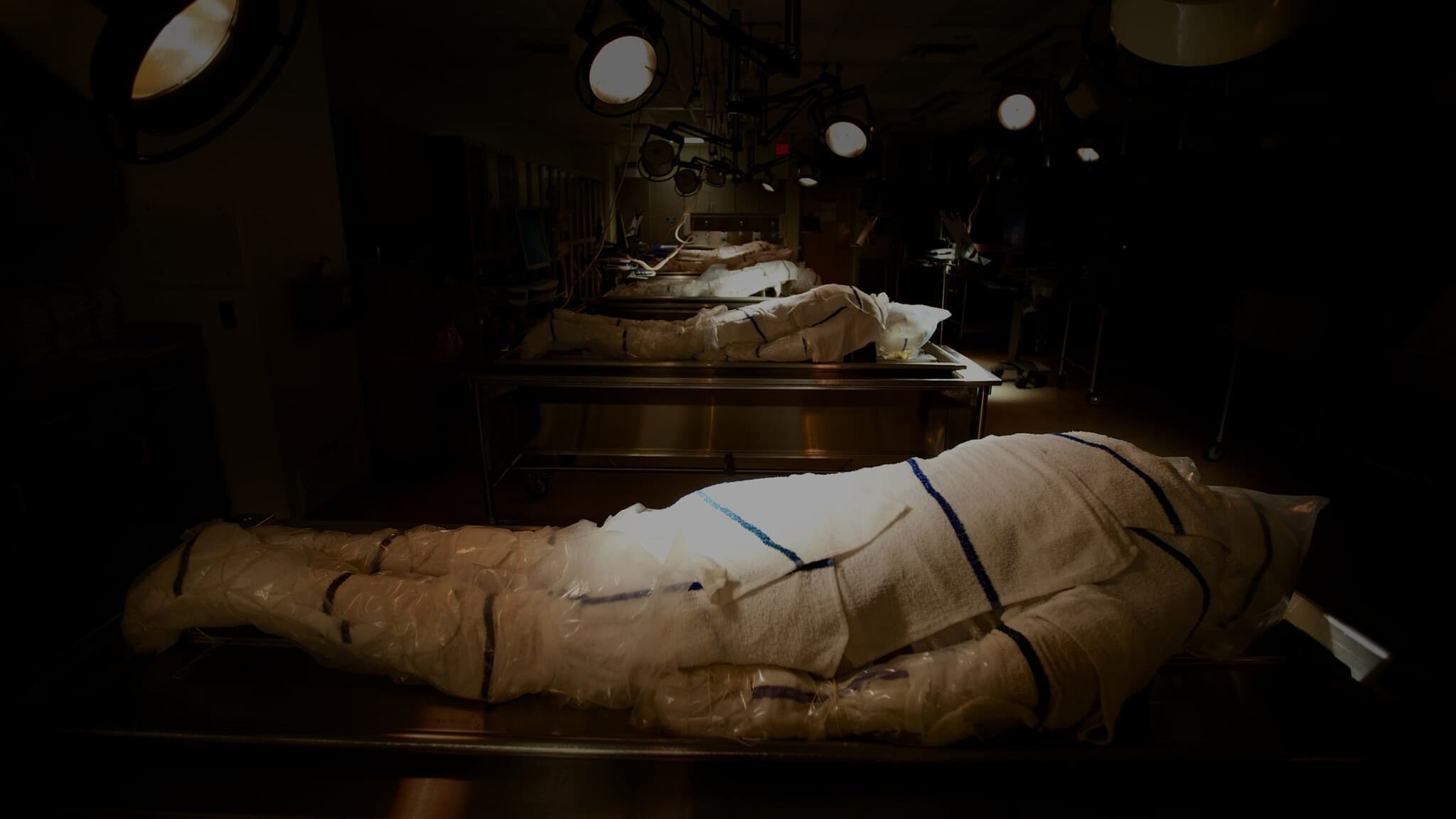 The First Patient - Where to Watch and Stream - TV Guide