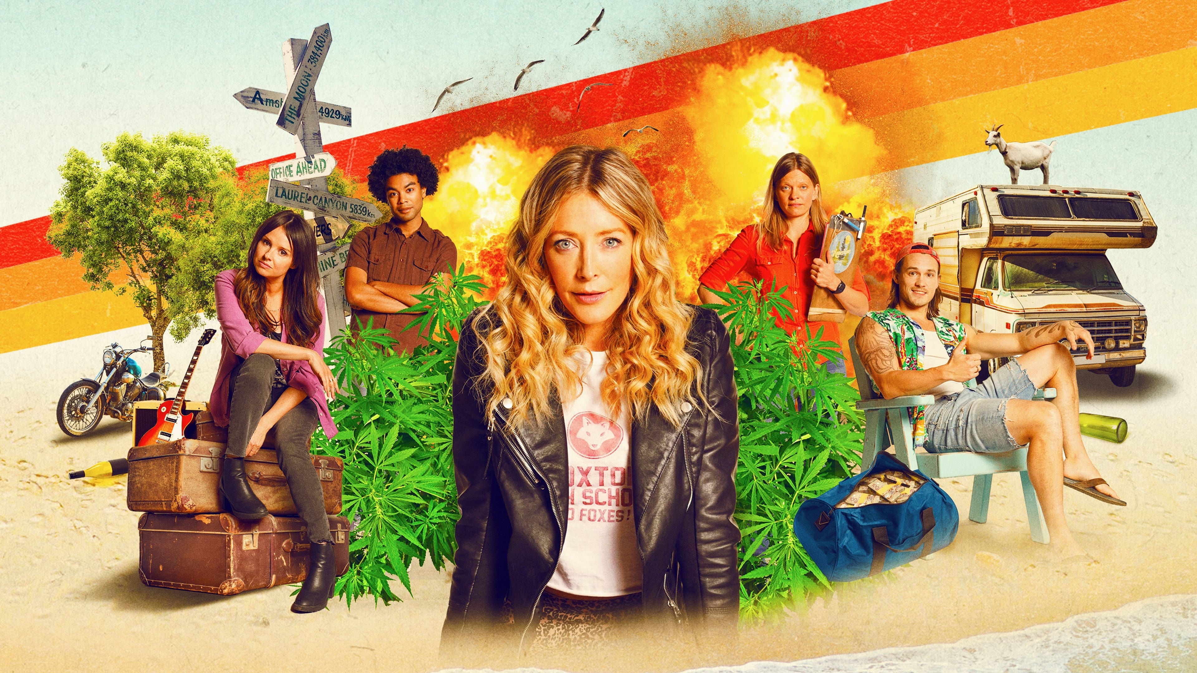 Moonshine - Full Cast & Crew - TV Guide