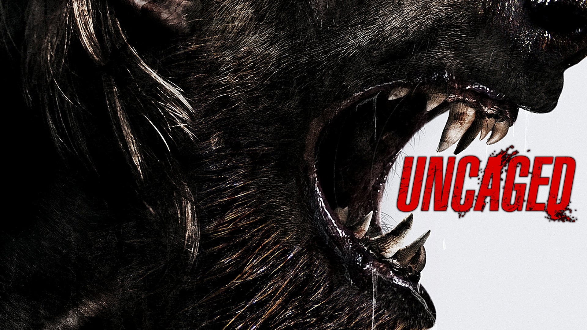 Uncaged - Where to Watch and Stream - TV Guide