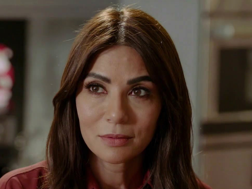 Christmas CEO - Full Cast & Crew - TV Guide