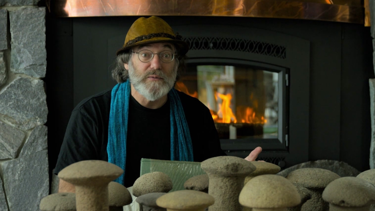 Fantastic Fungi - Where to Watch and Stream - TV Guide