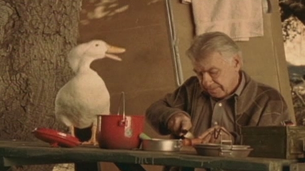 Duck - Where to Watch and Stream - TV Guide