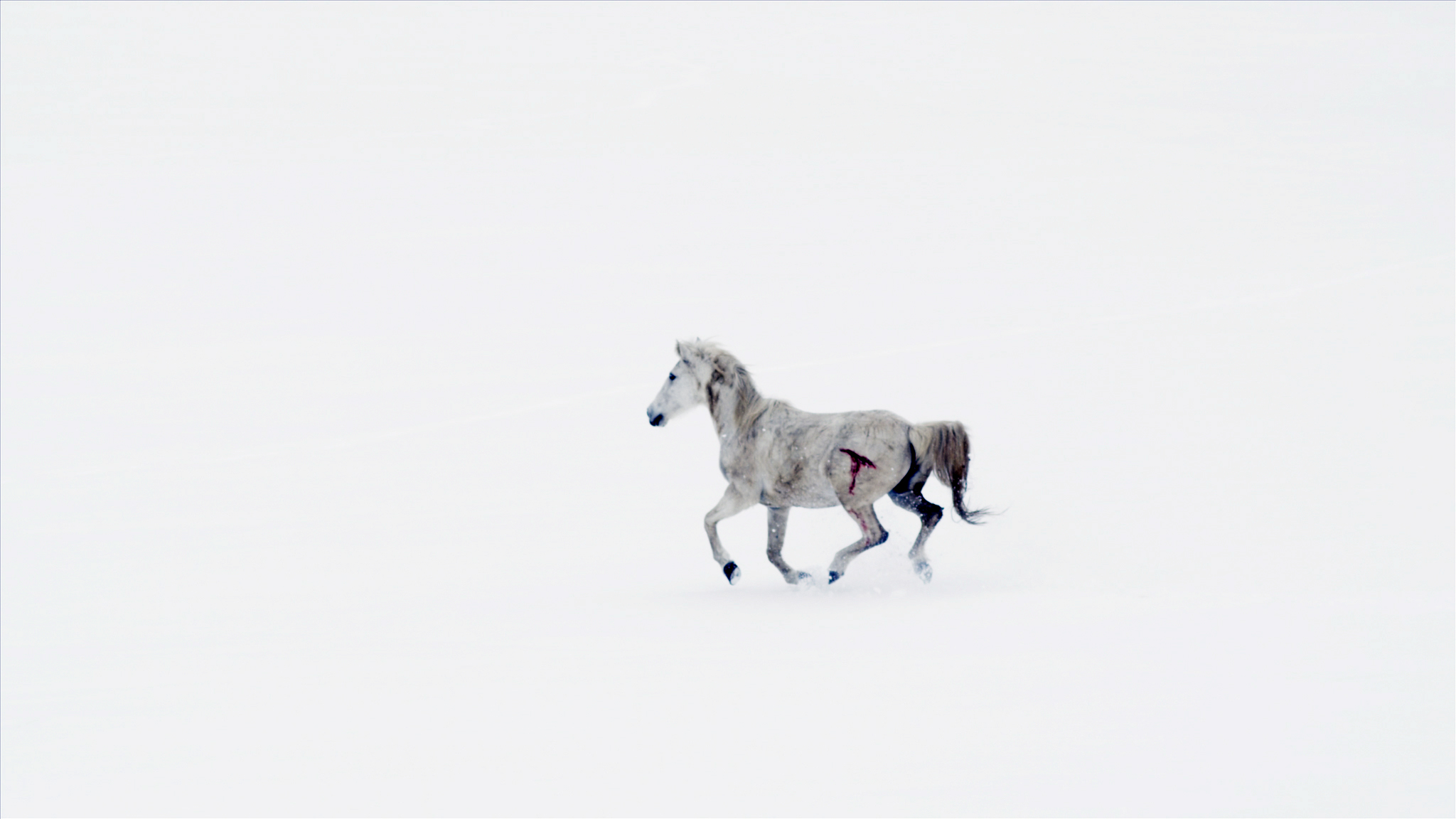 White As Snow - Where to Watch and Stream - TV Guide