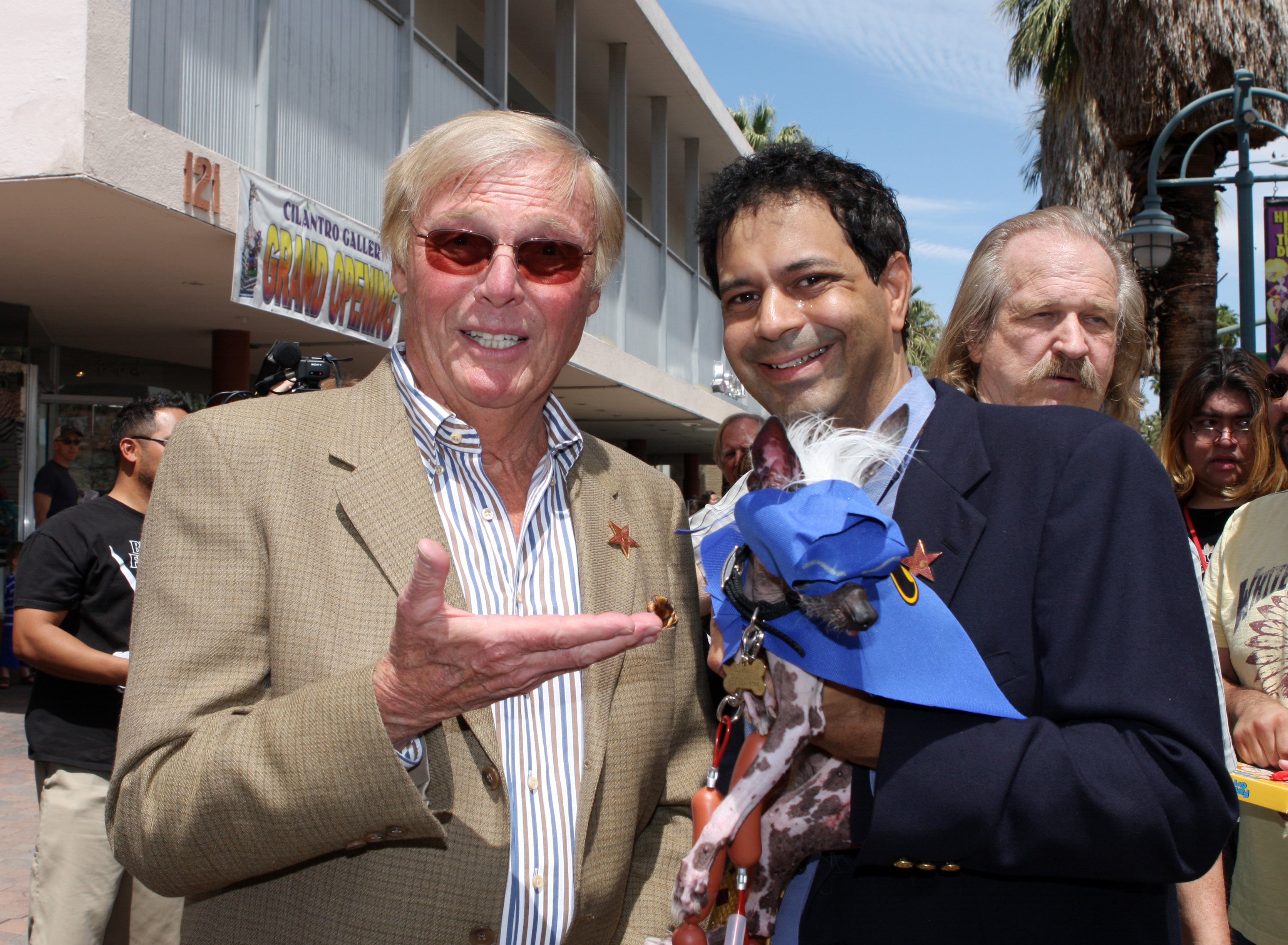Starring Adam West - Where to Watch and Stream - TV Guide