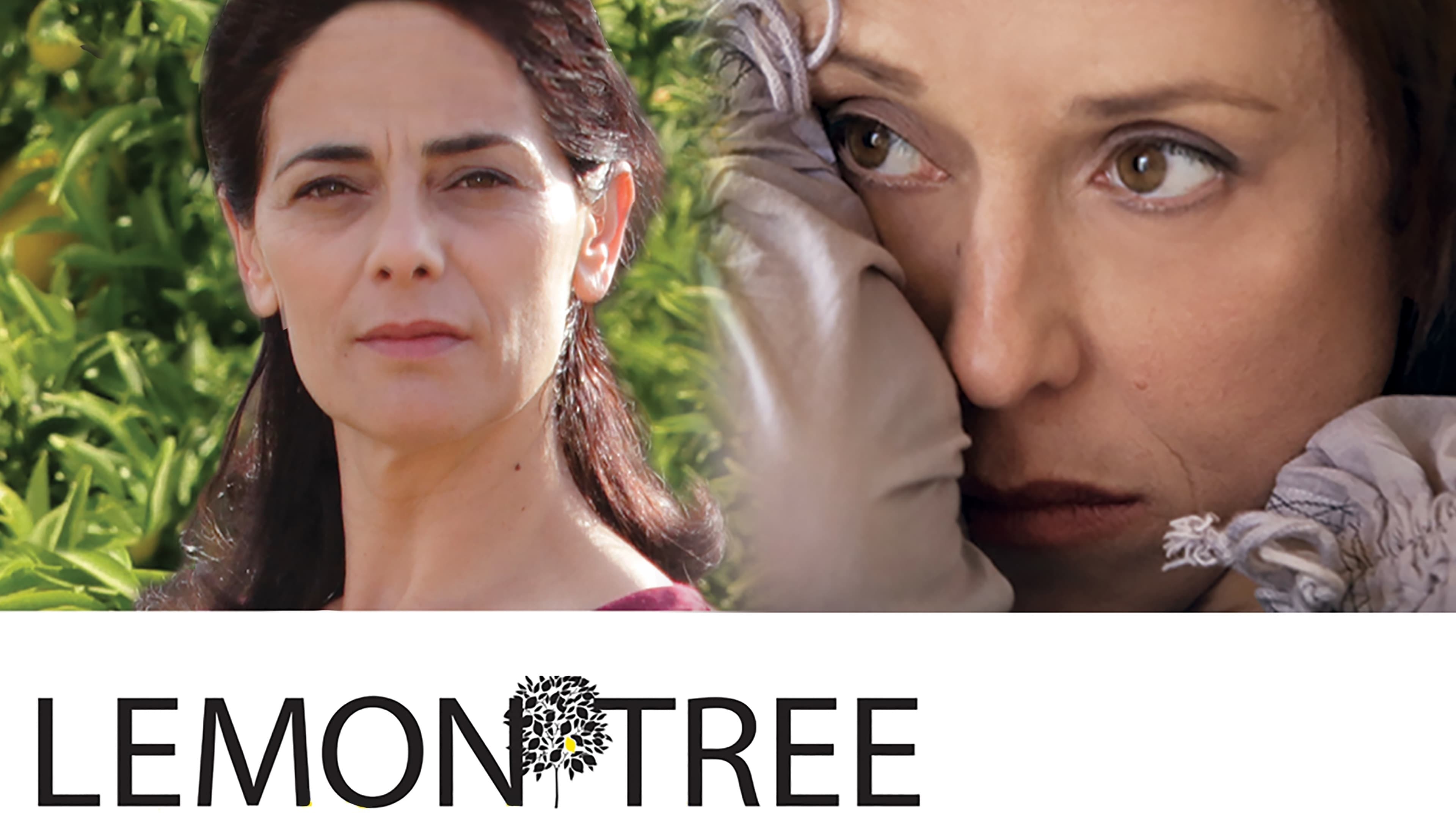 Lemon Tree - Where to Watch and Stream - TV Guide