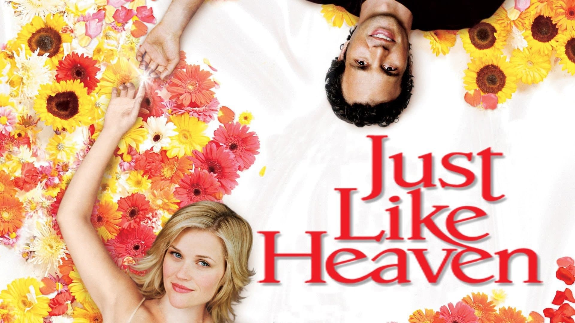 Just Like Heaven - Full Cast & Crew - TV Guide