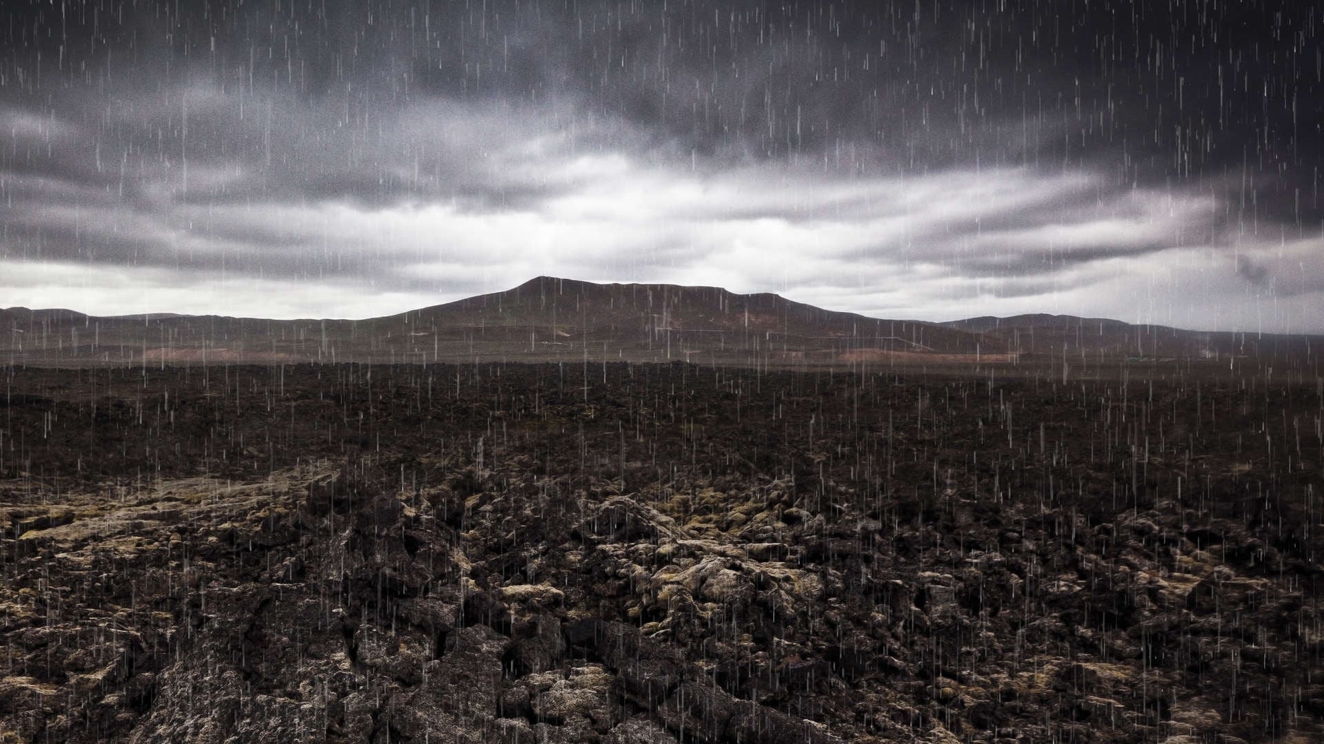 Mass Extinction: Life at the Brink - Where to Watch and Stream - TV Guide