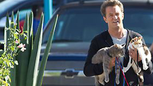 Go On - Where to Watch and Stream - TV Guide