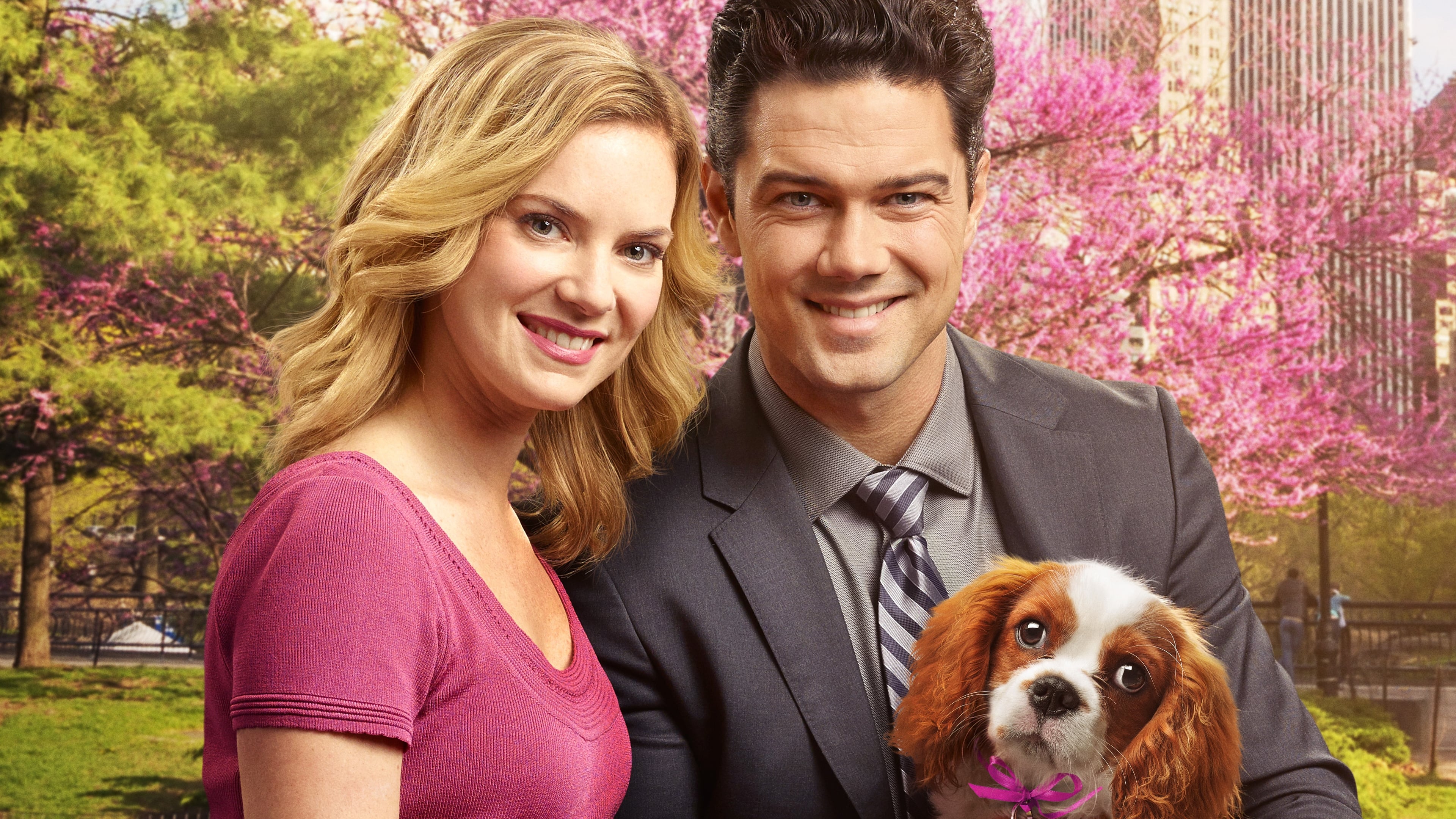 Marrying Mr. Darcy - Full Cast & Crew - TV Guide