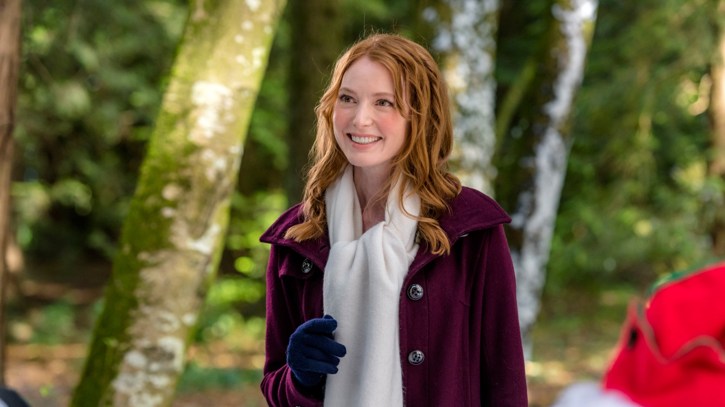 The Mistletoe Inn - Where to Watch and Stream - TV Guide