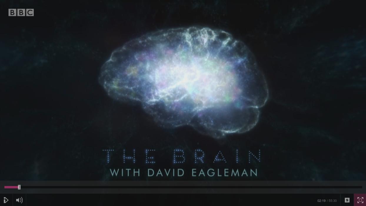 The Brain with Dr. David Eagleman - Where to Watch and Stream - TV Guide