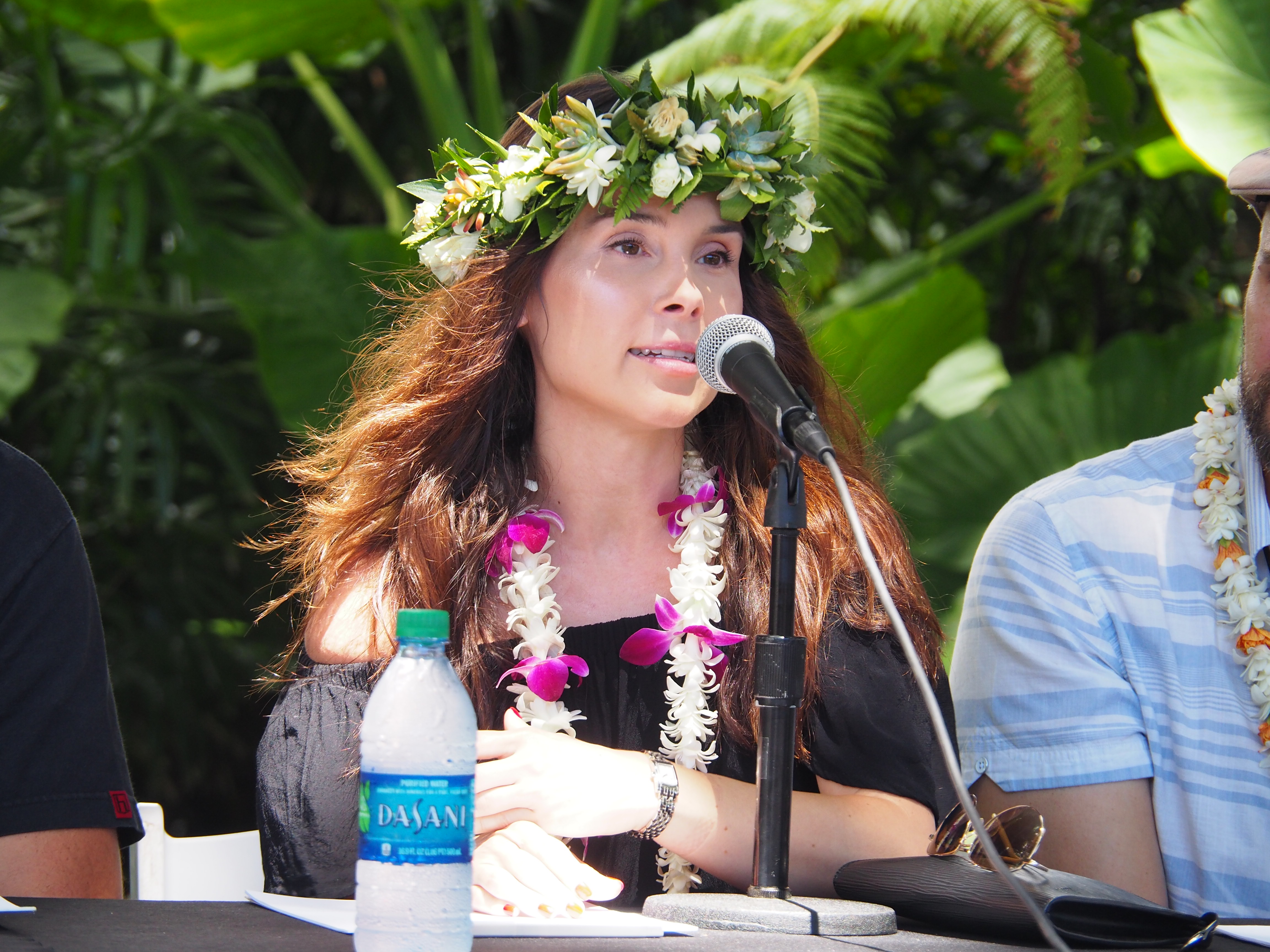Maui - Where to Watch and Stream - TV Guide