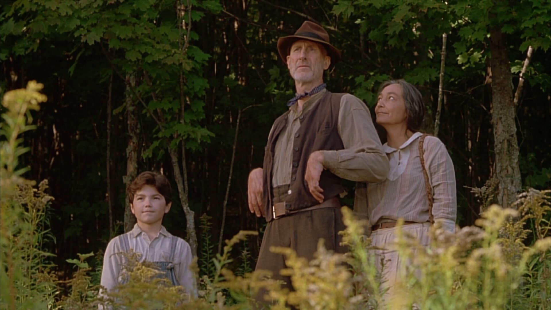 The Education of Little Tree - Where to Watch and Stream - TV Guide