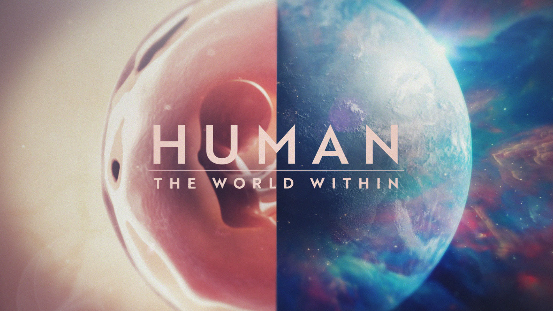 Human: The World Within - Where to Watch and Stream - TV Guide