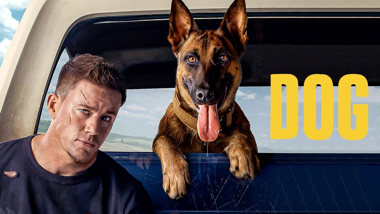 Dog - Full Cast & Crew - TV Guide