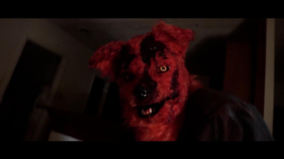 Furry Nights - Where to Watch and Stream - TV Guide