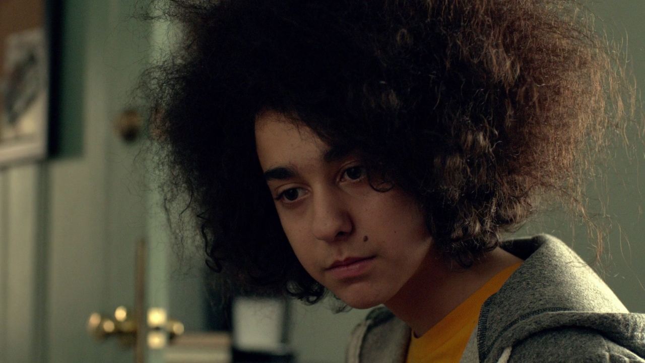 Hair Brained - Where to Watch and Stream - TV Guide