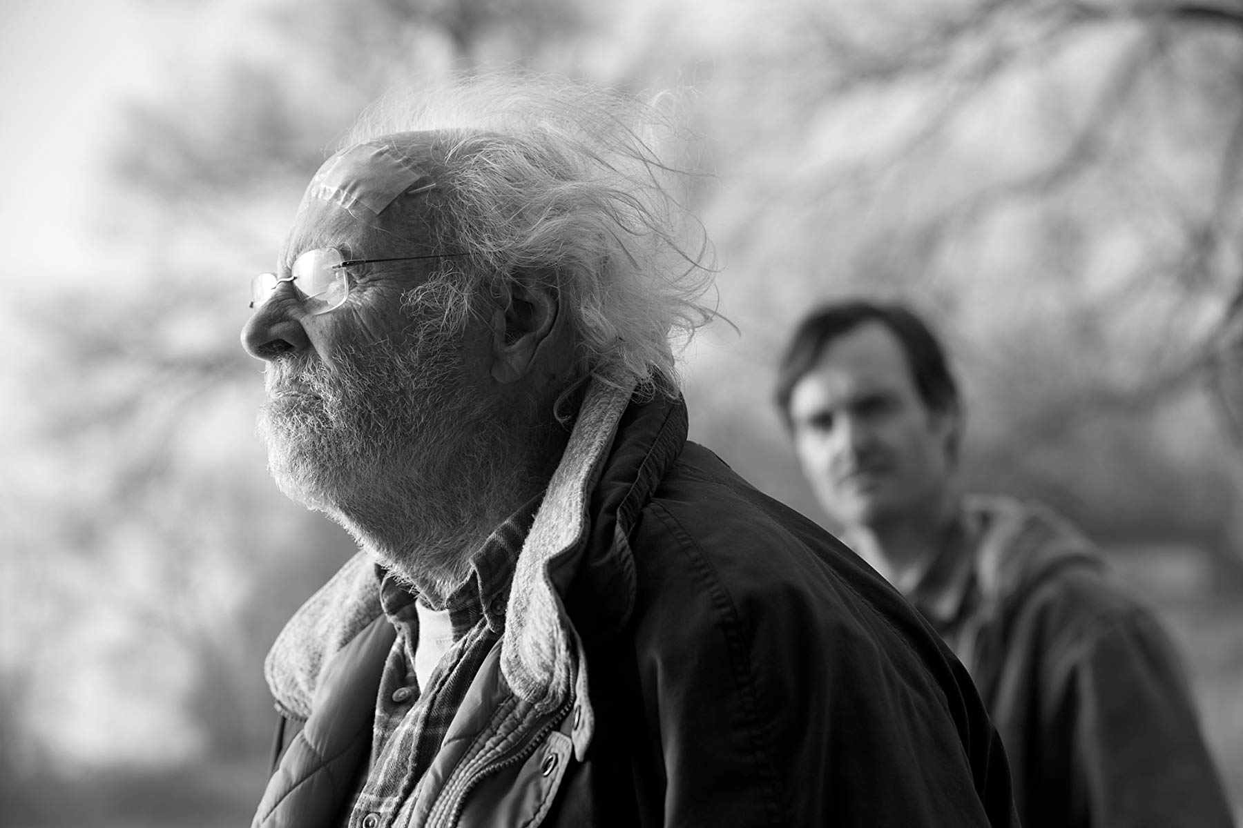 Nebraska - Full Cast & Crew - TV Guide