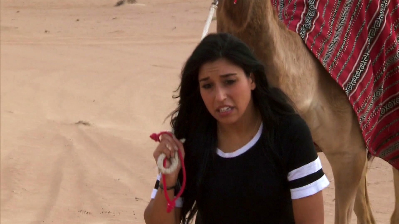 The Amazing Race TV Listings, TV Schedule and Episode Guide | TV Guide