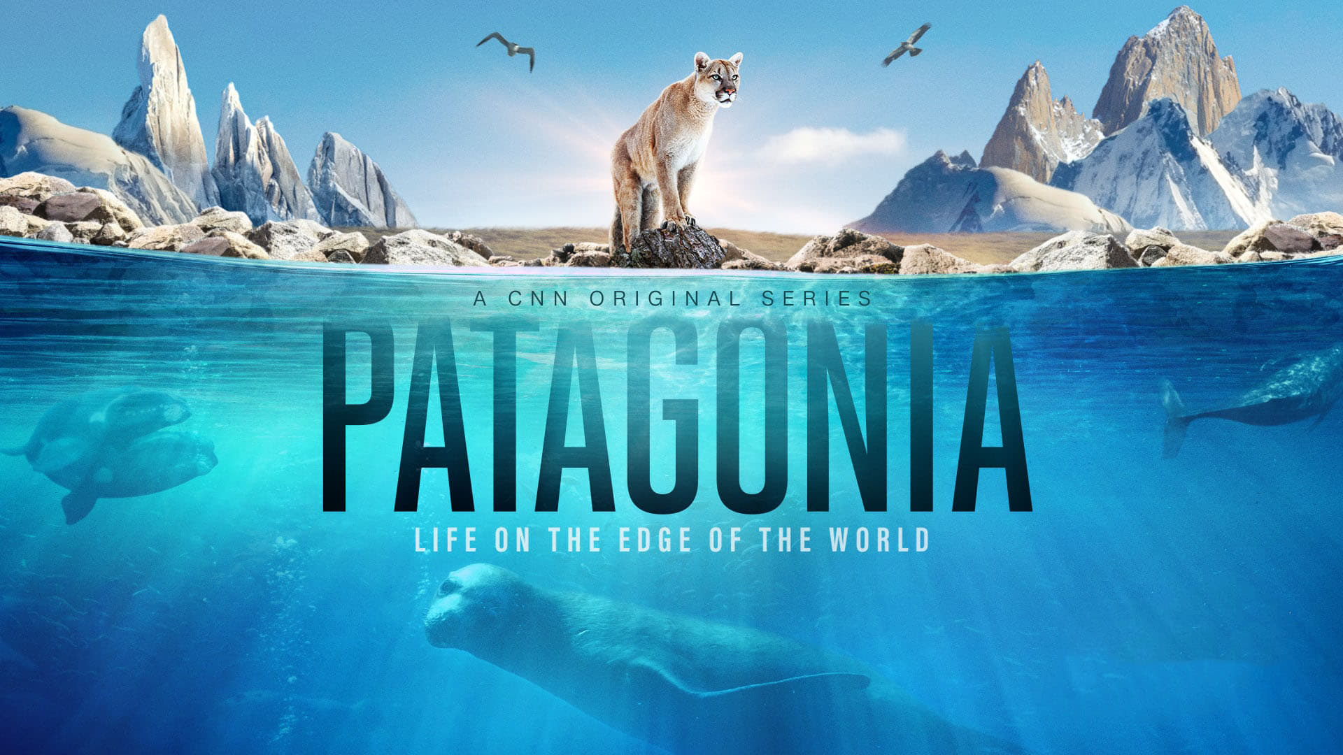 Patagonia - Where to Watch and Stream - TV Guide