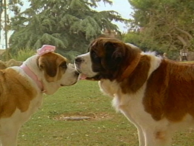 Beethoven Film Cast