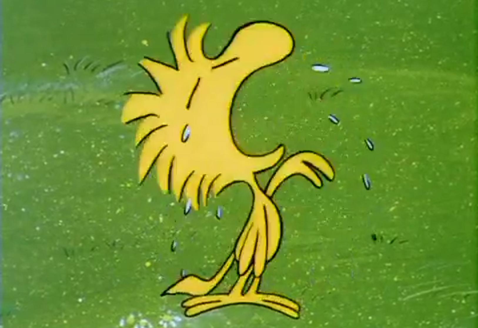 Snoopy's Getting Married, Charlie Brown - Where to Watch and Stream ...