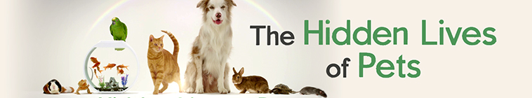 Watch The Hidden Lives of Pets Online | Season 1 (2022) | TV Guide