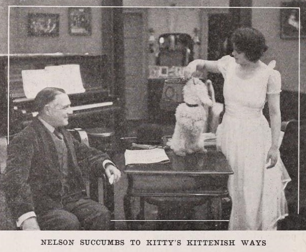 The Family Cupboard - Where to Watch and Stream - TV Guide