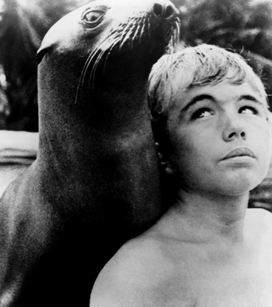 Watch Salty Online | Season 1 (1974) | TV Guide