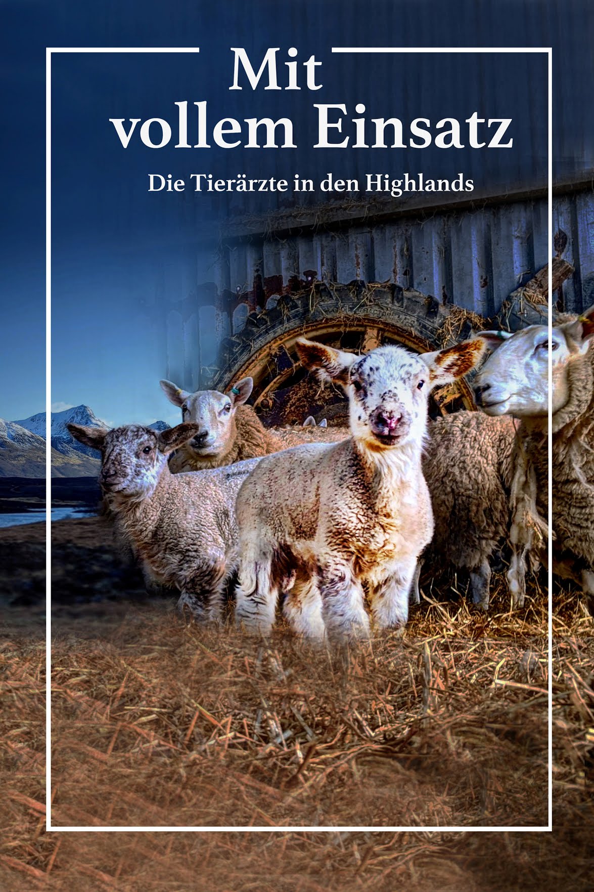 The Highland Vet - Where to Watch and Stream - TV Guide