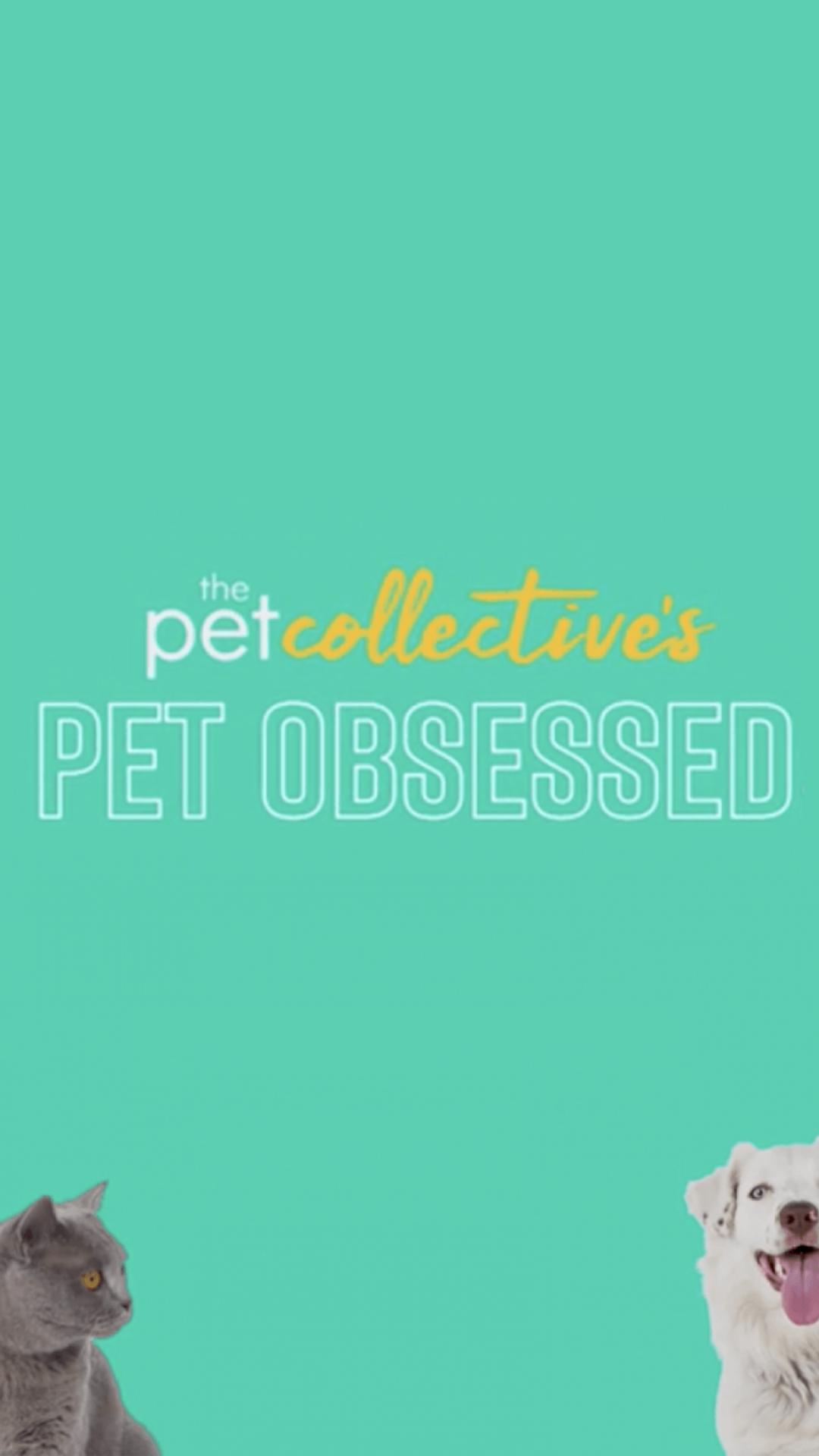 Watch Pet Obsessed Online | Season 1 (0) | TV Guide