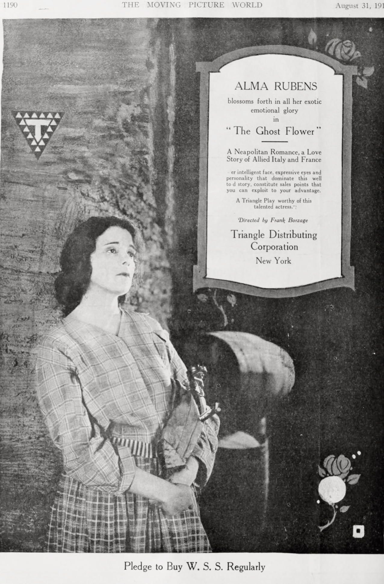 The Ghost Flower - Where to Watch and Stream - TV Guide