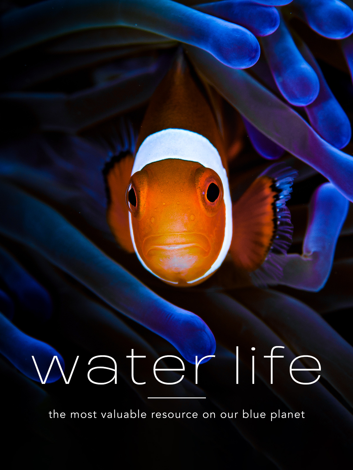Water Life - Where to Watch and Stream - TV Guide